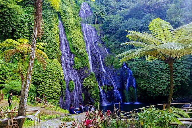 Unforgettable Tour Lovina See Dolphin And Banyumala Waterfall - FAQ