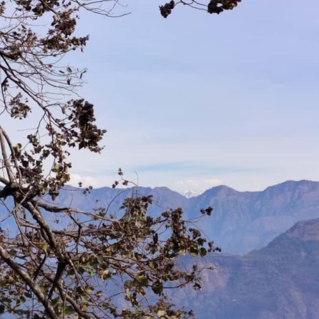 Unforgettable Tour of Rishikesh - Hike to Sacred Temples and Return to Rishikesh