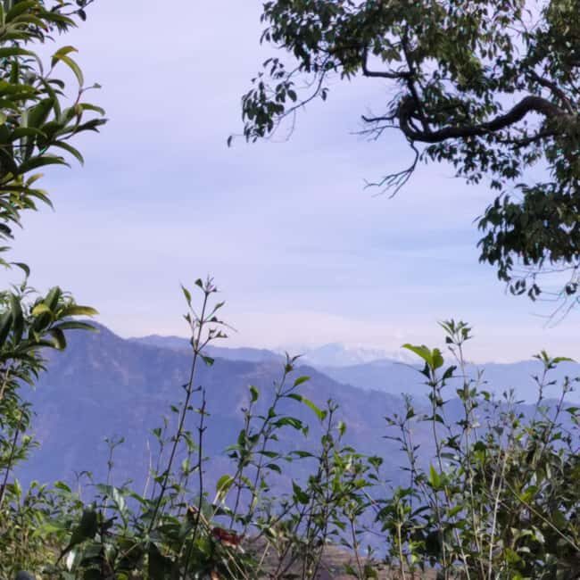 Unforgettable Tour of Rishikesh - Practical Considerations and Tips