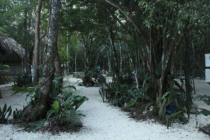 "Unforgettable Tulum Adventure: Ruins and Cenotes from cancun - A Closer Look at the Experience