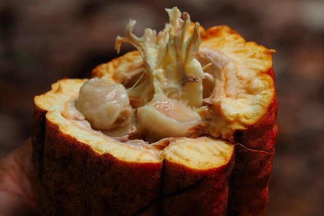 Unforgettable Week in the Dominican Republic - Detailed Review of the Tour Experience