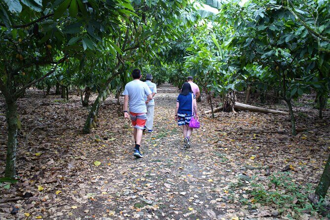 Unforgettable Week in the Dominican Republic - Practical Details & Considerations