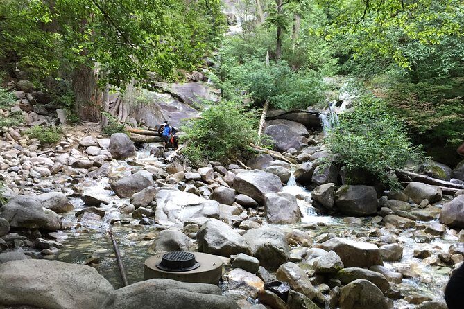 Unforgettable Whistler ( Full Day Private Tour) - Tantalus Lookout: Panoramic Mountain Views