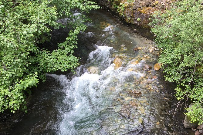 Unforgettable Whistler ( Full Day Private Tour) - Transportation and Logistics: Why It Matters