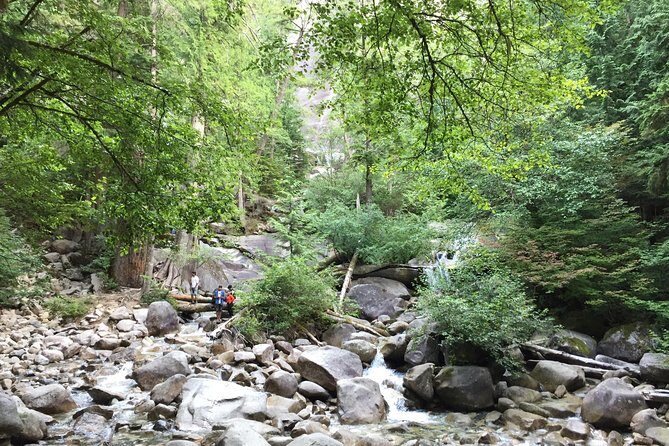 Unforgettable Whistler ( Full Day Private Tour) - Pricing & Value