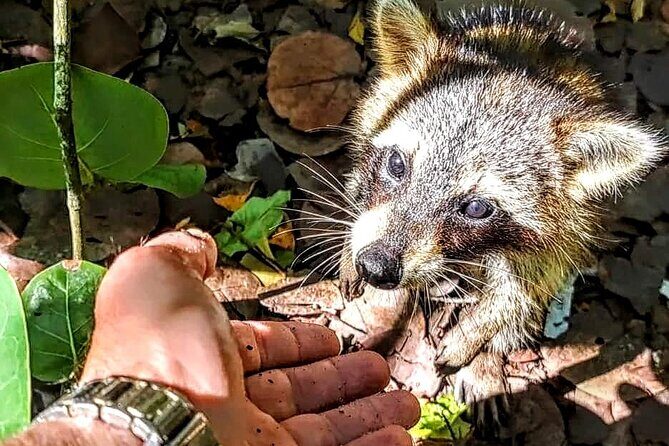Unique 5 Hours-Boat Tour to Raccoon Island from Fort Lauderdale - A Deep Dive into the Itinerary