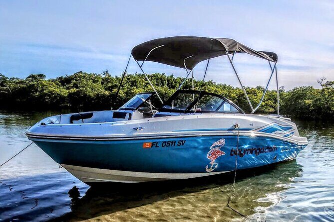 Unique 5 Hours-Boat Tour to Raccoon Island from Fort Lauderdale - The Sum Up: A Calm, Personal, and Wildlife-Filled Day