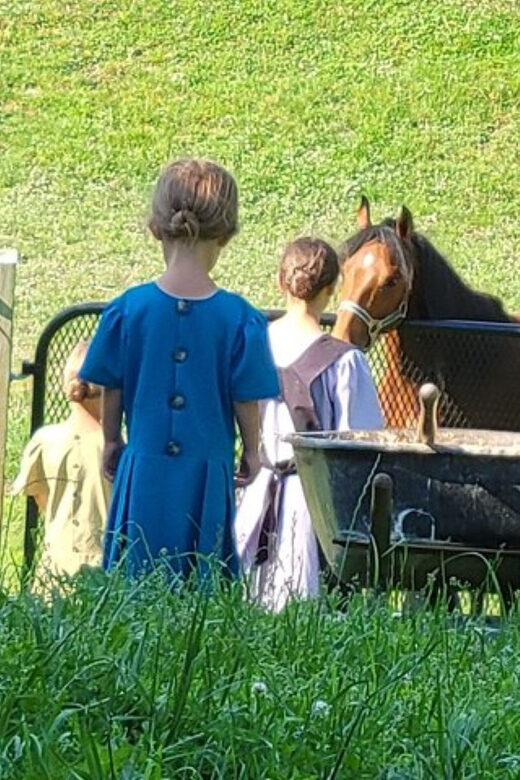 Unique Amish Immersion Experience - A Close Look at the Amish Immersion Tour