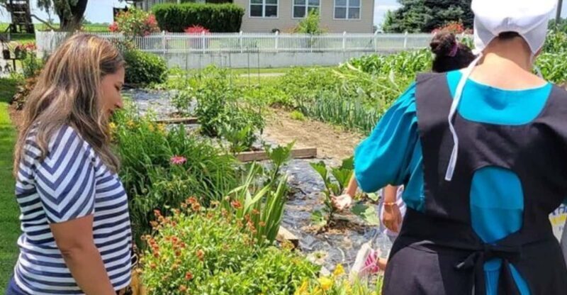 Unique Amish Immersion Experience - The Practicalities