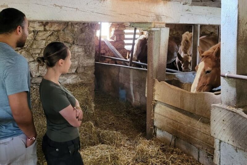 Unique Amish Immersion Experience - Authenticity & Insights from Reviews