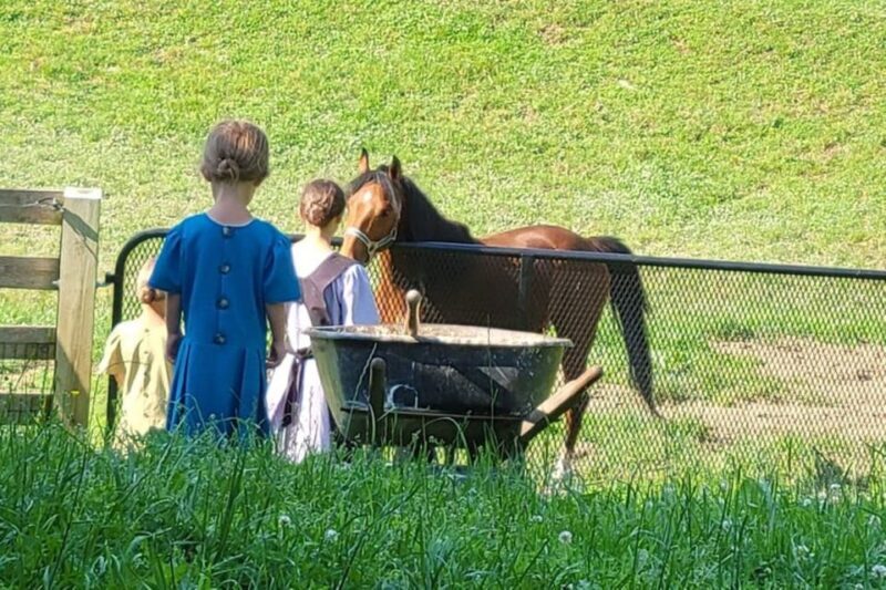 Unique Amish Immersion Experience - FAQ