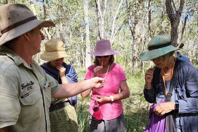 Unique and Personal BushTracks Eco Tour in Agnes Water 1770 - The Value of the Experience