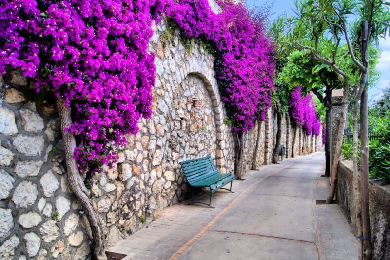 Unique Beauty and Heritage - Capri Walking Tour - Who Is This Tour For?