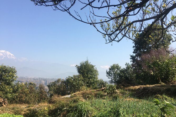 Unique Easy Hiking to Foxing Hill from Pokhara - Value and Practical Considerations