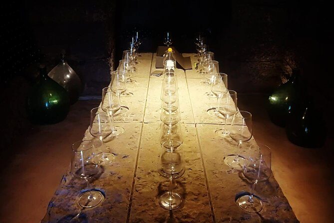 Unique EnoBike experience with tasting in 2 excellent wineries - An In-Depth Look at the EnoBike Tour