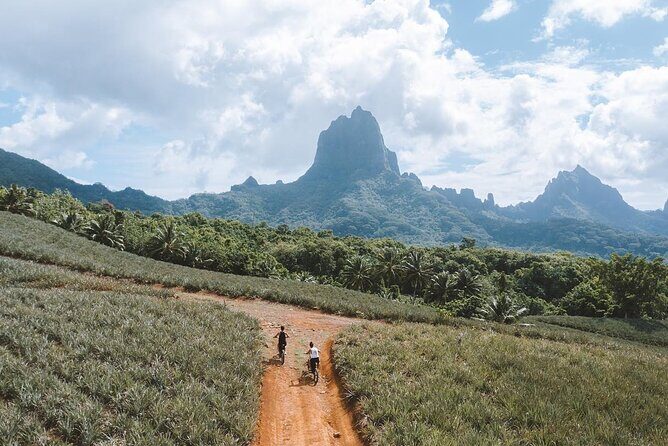 Unique excursion to Moorea on a 100% electric motorbike - Who should consider this tour?