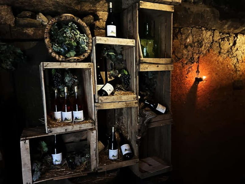 Unique experience in XVI winery with tasting near Salamanca - Key Points