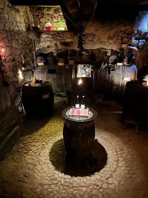 Unique experience in XVI winery with tasting near Salamanca - Who Should Consider This Tour?