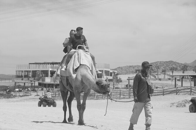 Unique experience on Sky Bike, Atv and Camels from Cabo San Lucas - Tasting Baja’s Best: Tequila Tasting