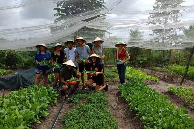 Unique farm to Table cooking class in Saigon - An Authentic Food Adventure in Ho Chi Minh City