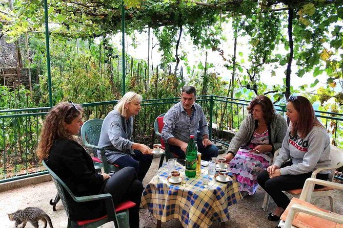 Unique gastro experience with locals in high hills above Budva! - Key Points