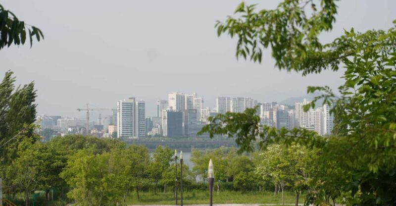 Unique Native Experience : Han River Picnic, Board game, BBQ - A Genuine Look at the Experience