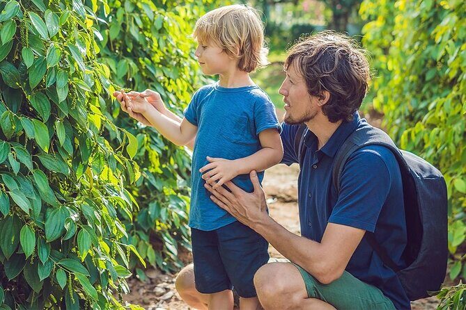 Unique Private Land Tour in South Phu Quoc Island - Transportation and Practicalities