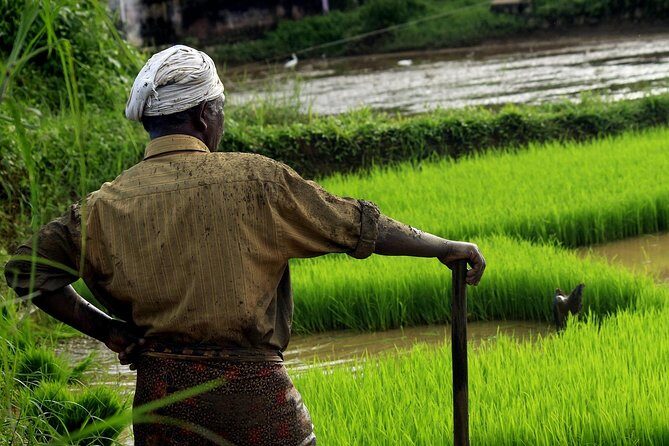 Unique Shimla and Manali tour - Shimla: Colonial Charm and Mountain Serenity