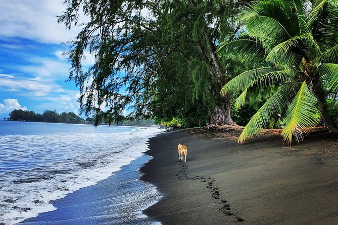 Unique Tahiti Tour - personalised, small group east coast tour - The Value and the Cost