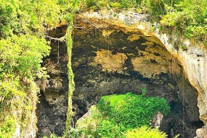 "Unique Tour" Loiza, Cultue, Art & Bomba Dance Class on The Beach - Who Should Book This Tour?