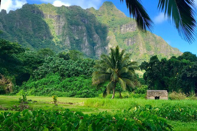 Uniquely Personalized Private Island Tour on Oahu, Hawaii - Who Will Love This Tour?