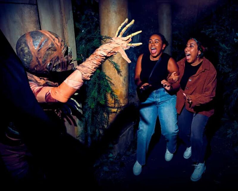 Universal Studios Hollywood: Halloween Horror Nights - Cost and Value