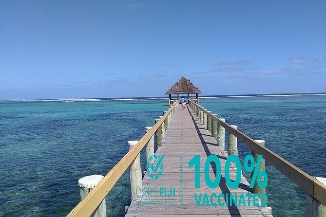 Unlimited Data Usage Pocket Wifi Rental in Nadi Fiji - The Sum Up: Is This WiFi Rental Worth It?