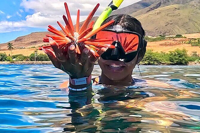 Unlimited Guided Snorkeling Tour for Beginners Plus - What Past Guests Say