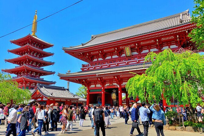 Unlock Hidden Tokyo: Private Custom Tour with a Local guide - Exploring Tokyo at Your Own Pace