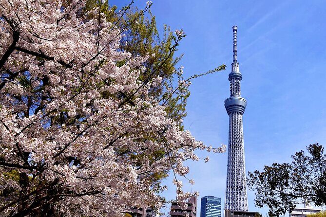 Unlock Hidden Tokyo: Private Custom Tour with a Local guide - Value and Practicality