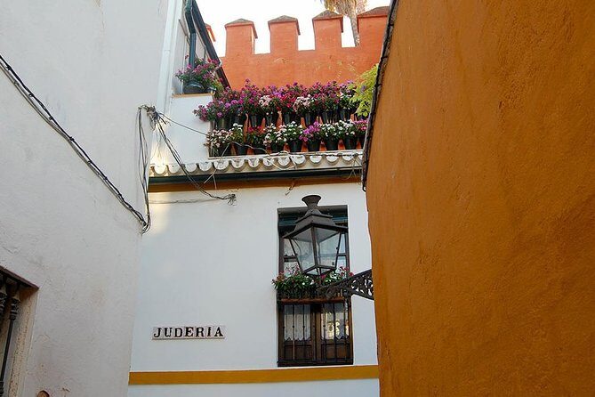 Unmissable Seville private tour - A Closer Look at Each Stop