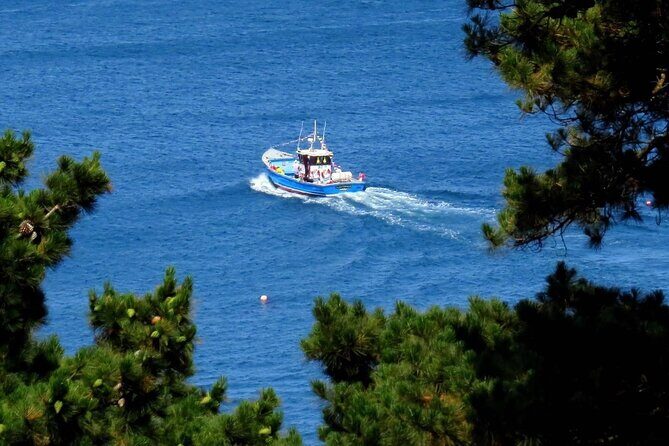 Unrivalled Coastal Tour to Saint's Bay Harbour - Who Is This Tour Best For?
