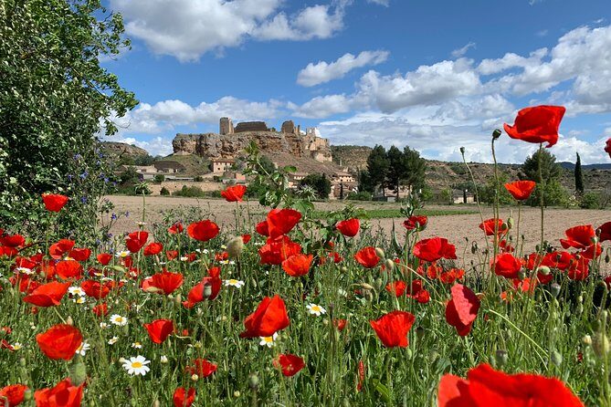 Unspoiled Spain: Food & Wine Tasting for Foodies & Nature Lovers - The Itinerary: From Castle to Countryside and Back