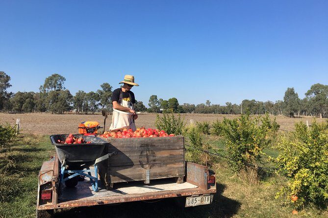 Unspoiled Spain: Food & Wine Tasting for Foodies & Nature Lovers - Practical Details