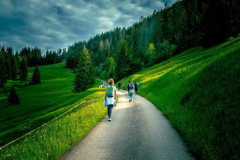 Unterseen: Alpine Cheese Farm Visit & Cheesemaking - Key Points