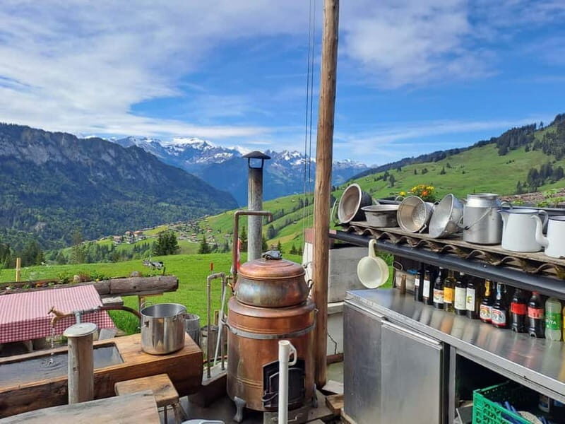 Unterseen: Alpine Cheese Farm Visit & Cheesemaking - Final Thoughts