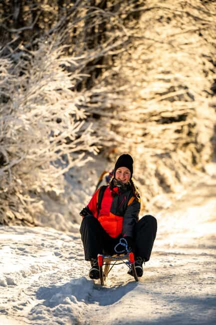 Unterseen: Night Sledding and Fondue Feast Package - An Adventure in the Swiss Alps — What to Expect