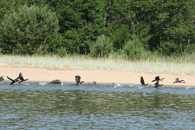 Untouched Sand Dunes - Guided canoe tour on UNESCO site - The Sum Up