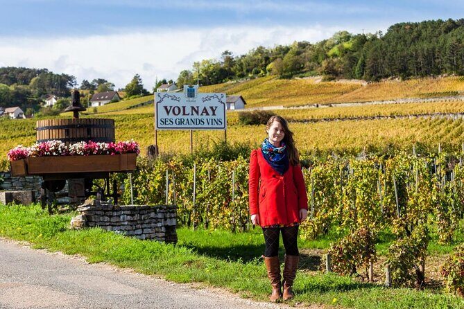 Unusual exploration of the terroirs of Burgundy in 2CV - from 6 people - Unusual Exploration of Burgundys Terroirs in a 2CV – A Travel Experience Worth Considering
