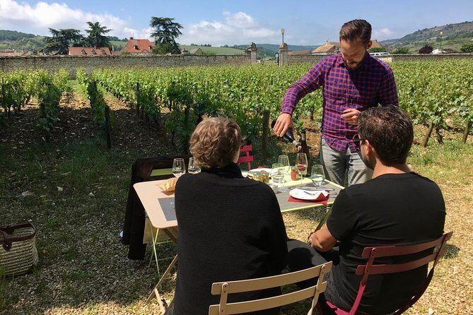 Unusual exploration of the terroirs of Burgundy in 2CV - from 6 people - Who Will Love This Tour?