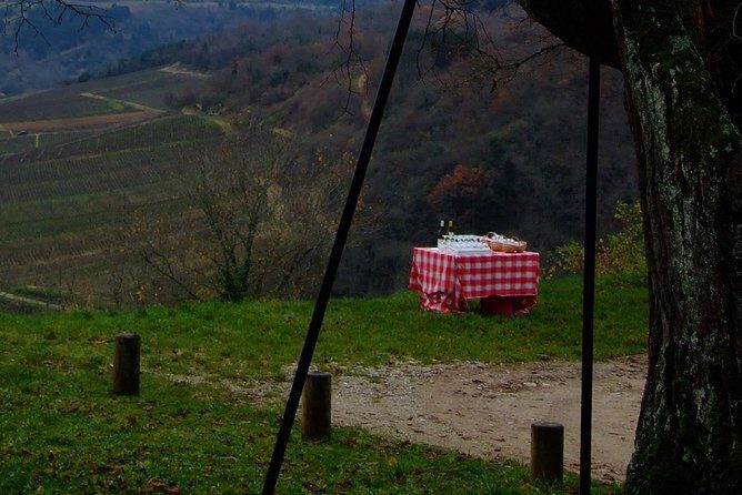 Unusual exploration of the terroirs of Burgundy in 2CV - from 6 people - Practical Tips & Considerations