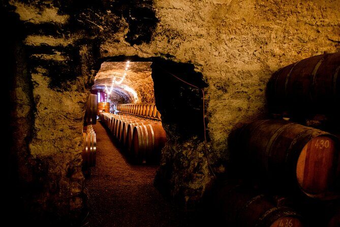 Unusual visit & Tasting of our organic wines - Unique Settings That Tell a Story