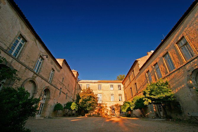 Unusual visit & Tasting of our organic wines - Practical Details: How to Make the Most of Your Visit