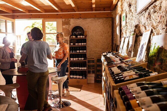 Unusual visit & Tasting of our organic wines - The Sum Up